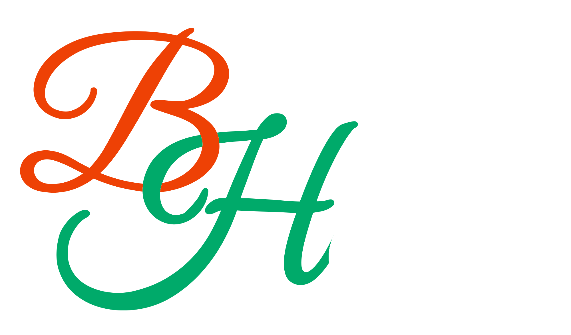 BH HOME — System For Life